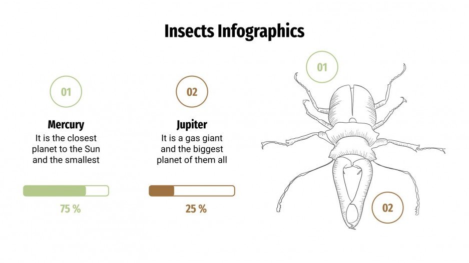Insects Infographics | Google Slides & PowerPoint Template