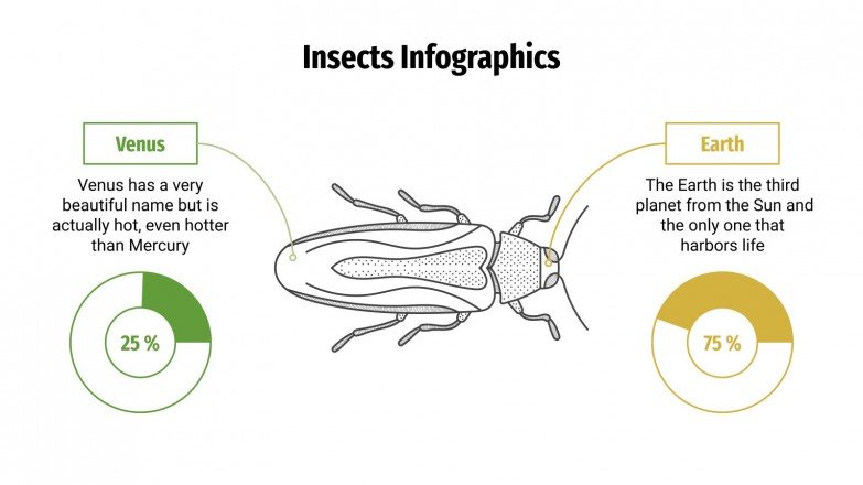 Insects Infographics | Google Slides & PowerPoint Template