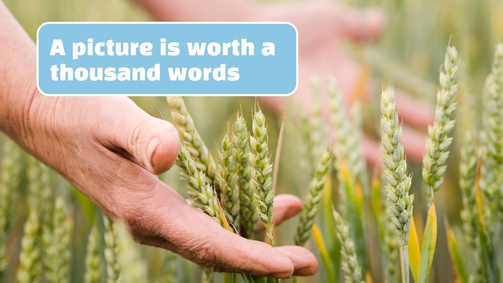 Agriculture, Food, & Natural Resources for Middle School