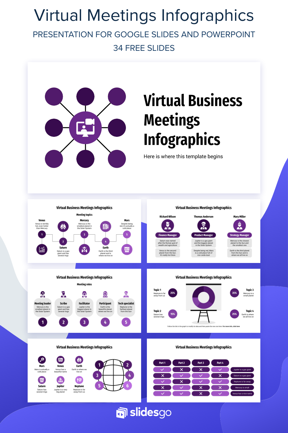 Virtual Business Meetings Infographics