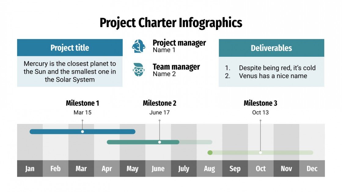 Project Charter Infographics | Google Slides & PowerPoint