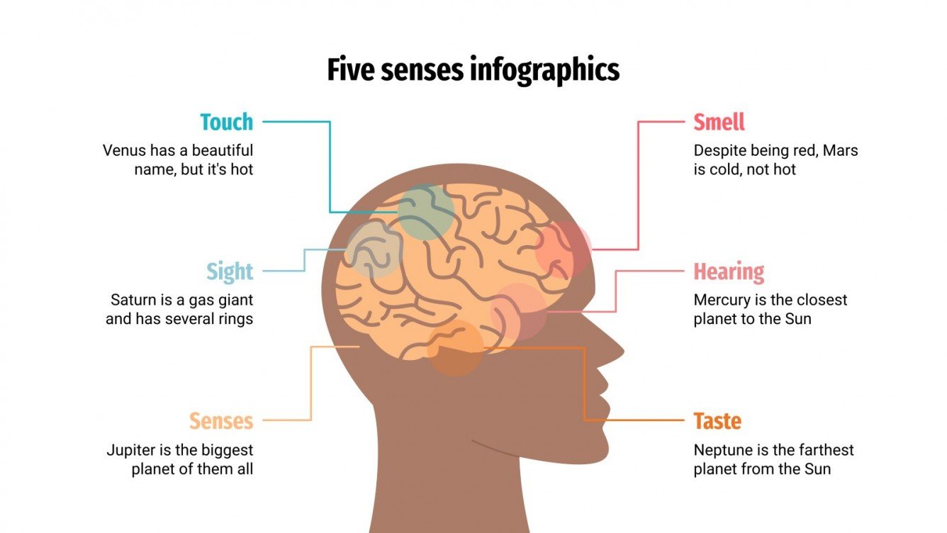 Five Senses Infographics | Google Slides & PowerPoint