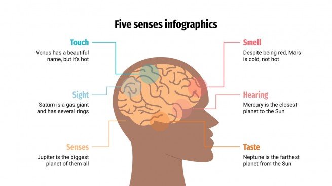 Five Senses Infographics | Google Slides & PowerPoint