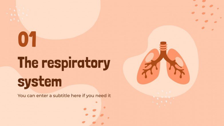 Science Subject for High School - 9th Grade: Human Body II