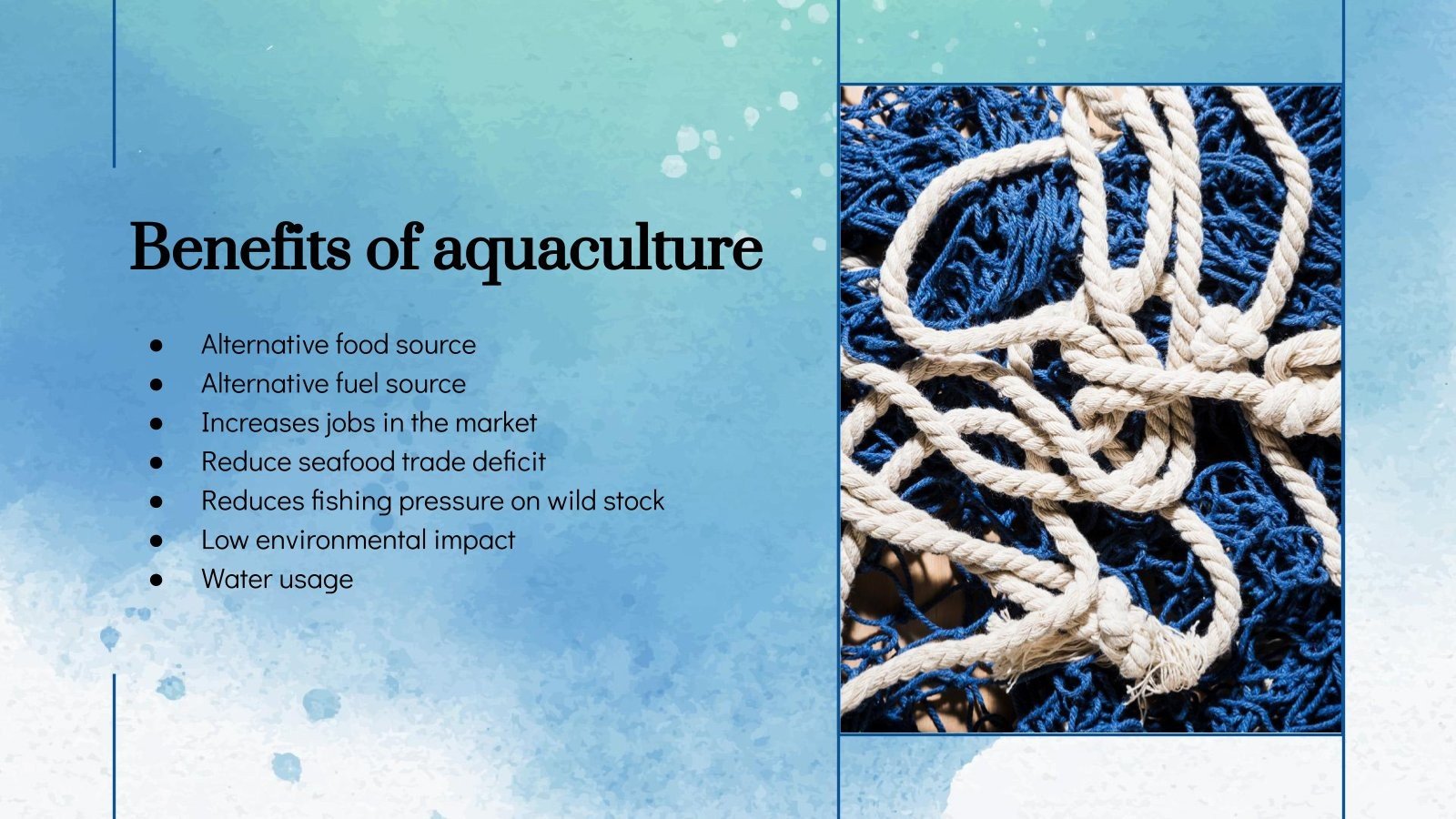 Aquaculture Company Profile | Google Slides & PowerPoint