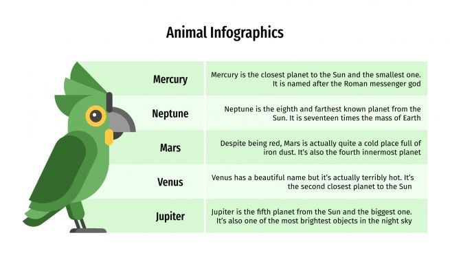 Animal Infographics for Google Slides & PowerPoint
