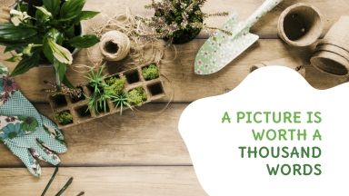 Page 2 | Interior Garden DIY Google Slides theme & PowerPoint template