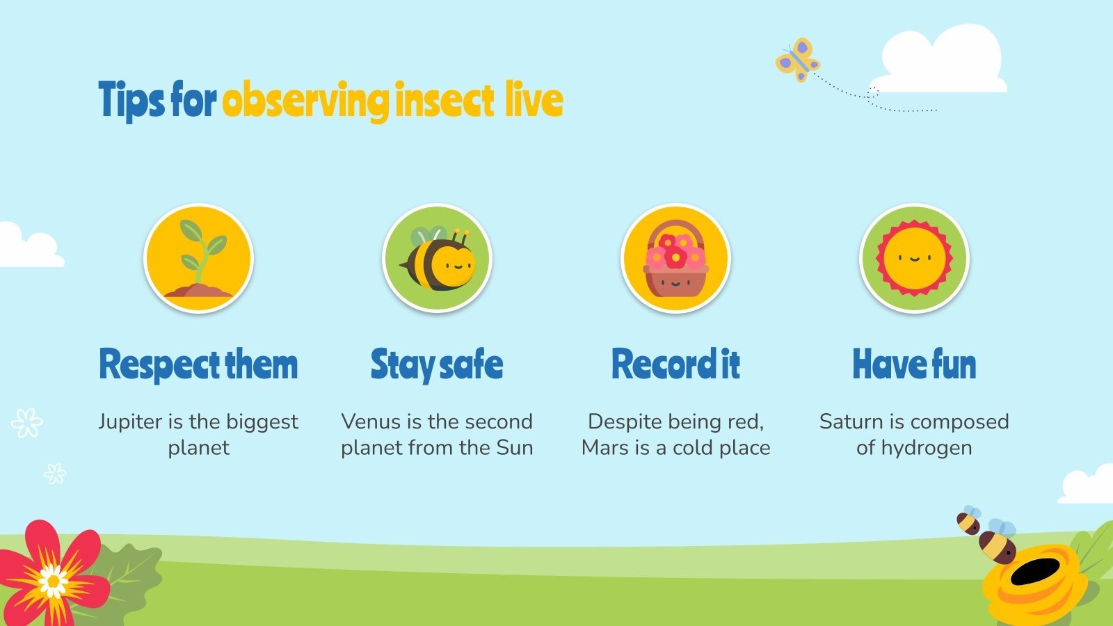 Observemos los insectos | Google Slides & PPT