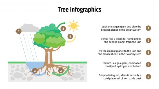 Free Tree Infographics for Google Slides and PowerPoint