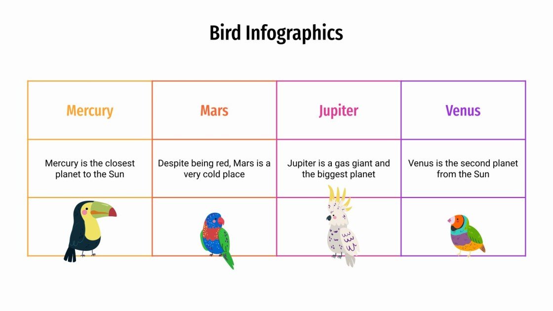 Bird Infographics | Google Slides and PowerPoint template