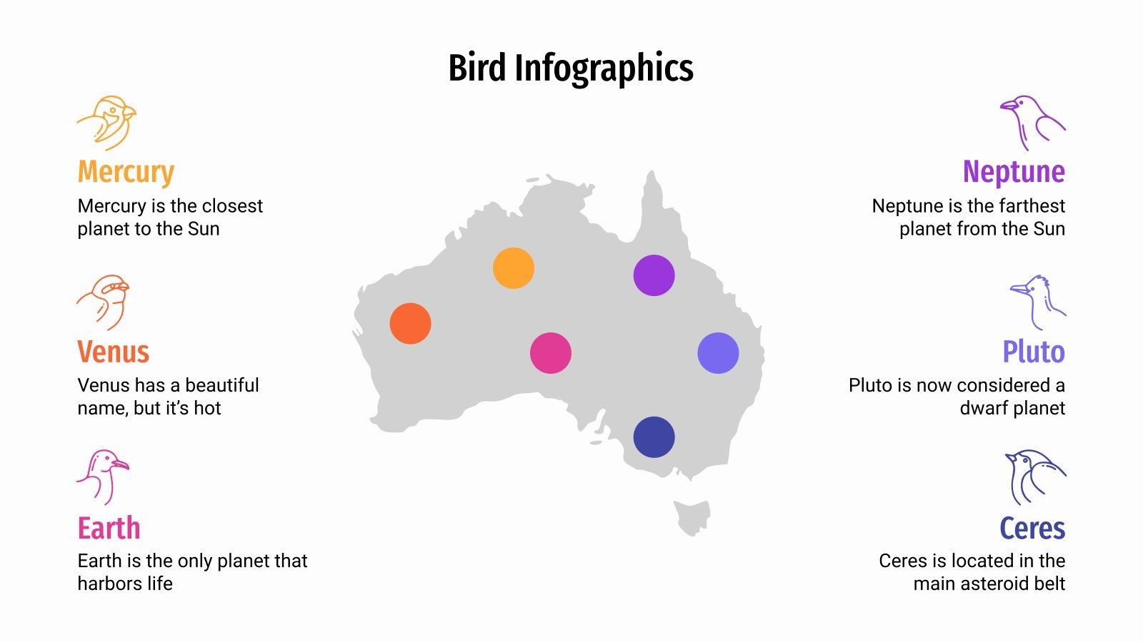 Bird Infographics | Google Slides and PowerPoint template