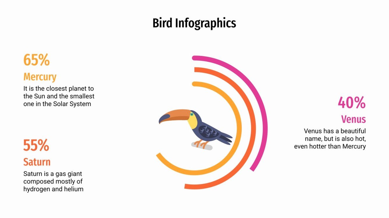 Bird Infographics | Google Slides and PowerPoint template