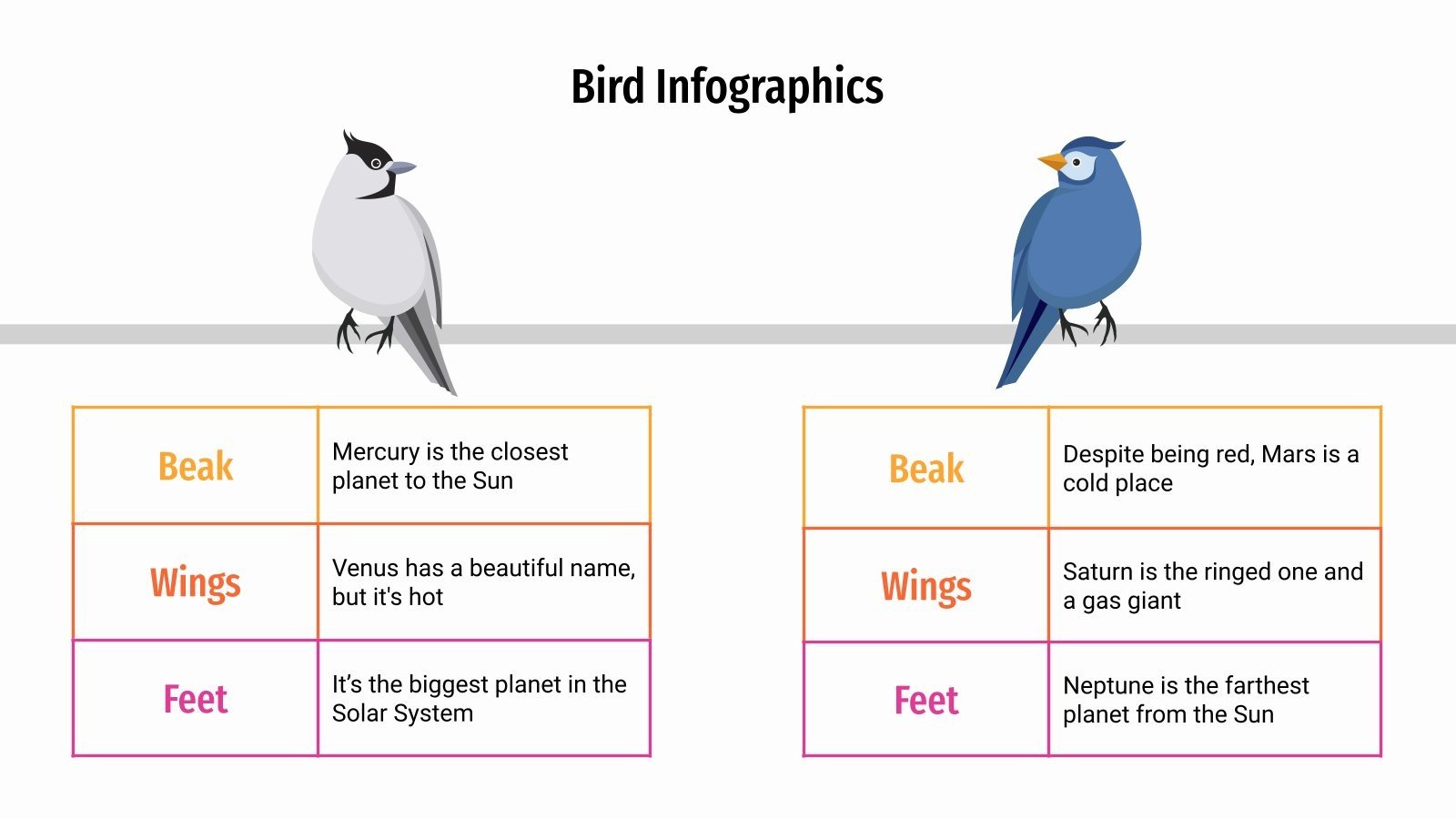 Bird Infographics | Google Slides and PowerPoint template