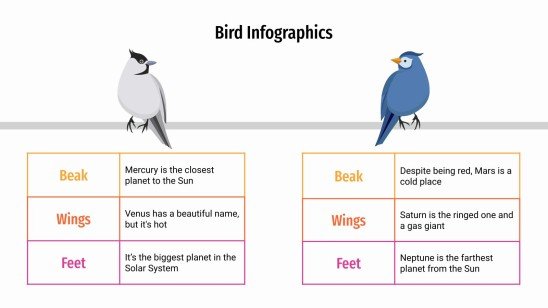 Bird Infographics | Google Slides and PowerPoint template
