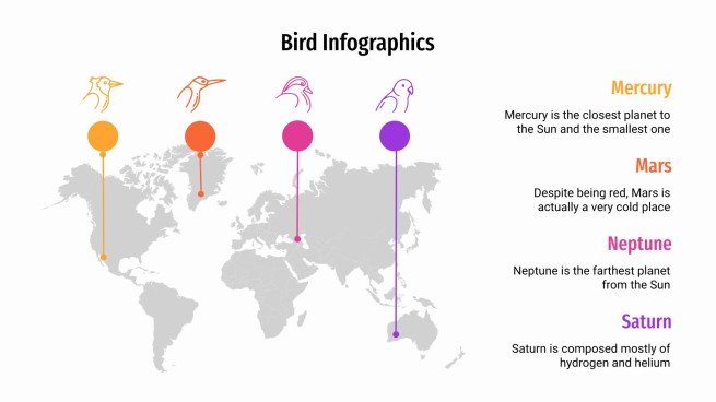 Bird Infographics | Google Slides and PowerPoint template