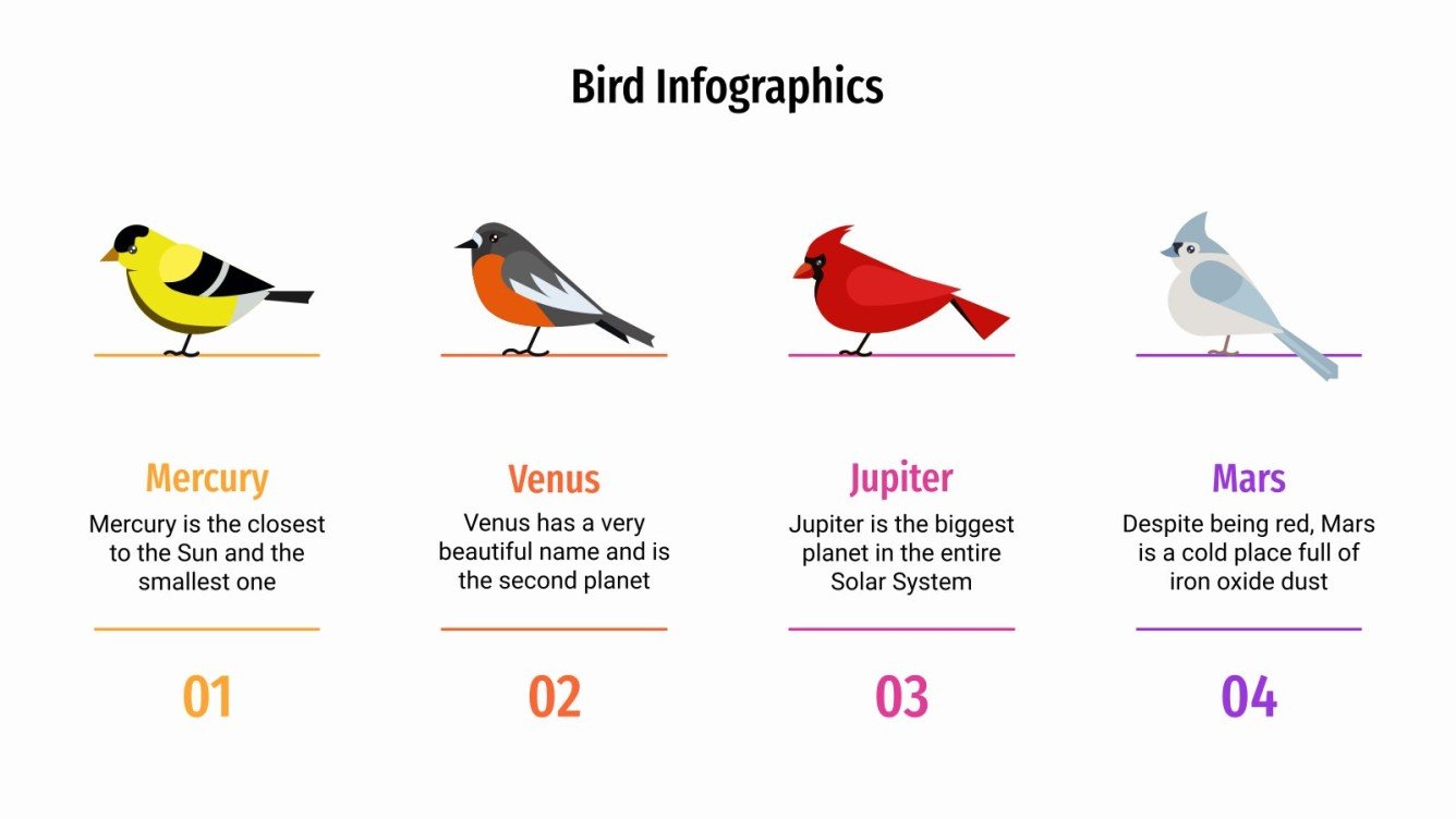 Infografías de aves | Plantilla de Google Slides y PowerPoint