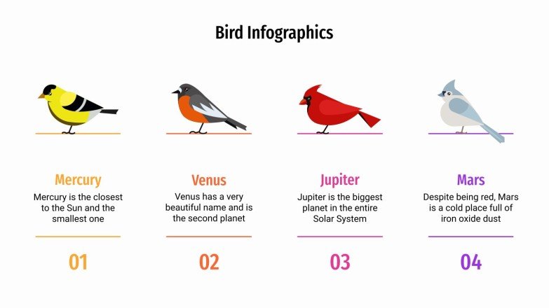 Bird Infographics | Google Slides and PowerPoint template