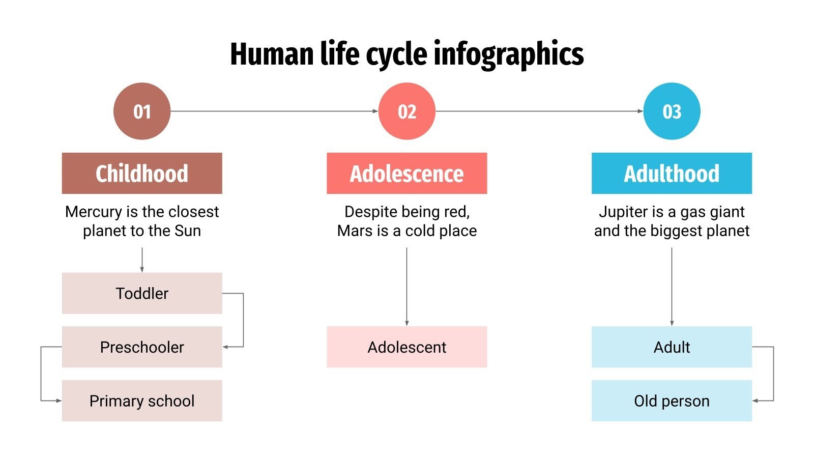 Human Life Cycle Infographics | Google Slides & PowerPoint