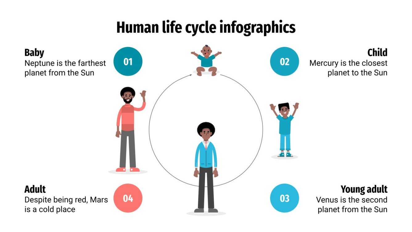 Human Life Cycle Infographics | Google Slides & PowerPoint