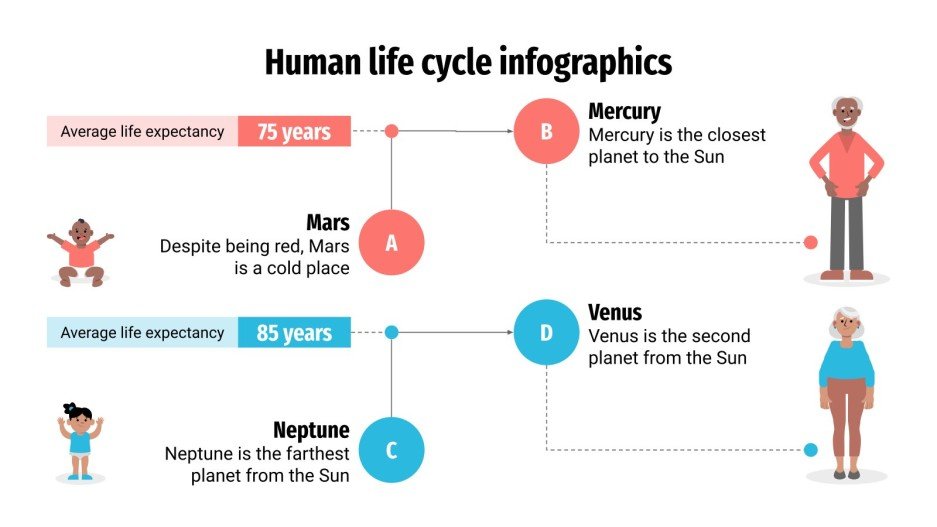 Human Life Cycle Infographics | Google Slides & PowerPoint