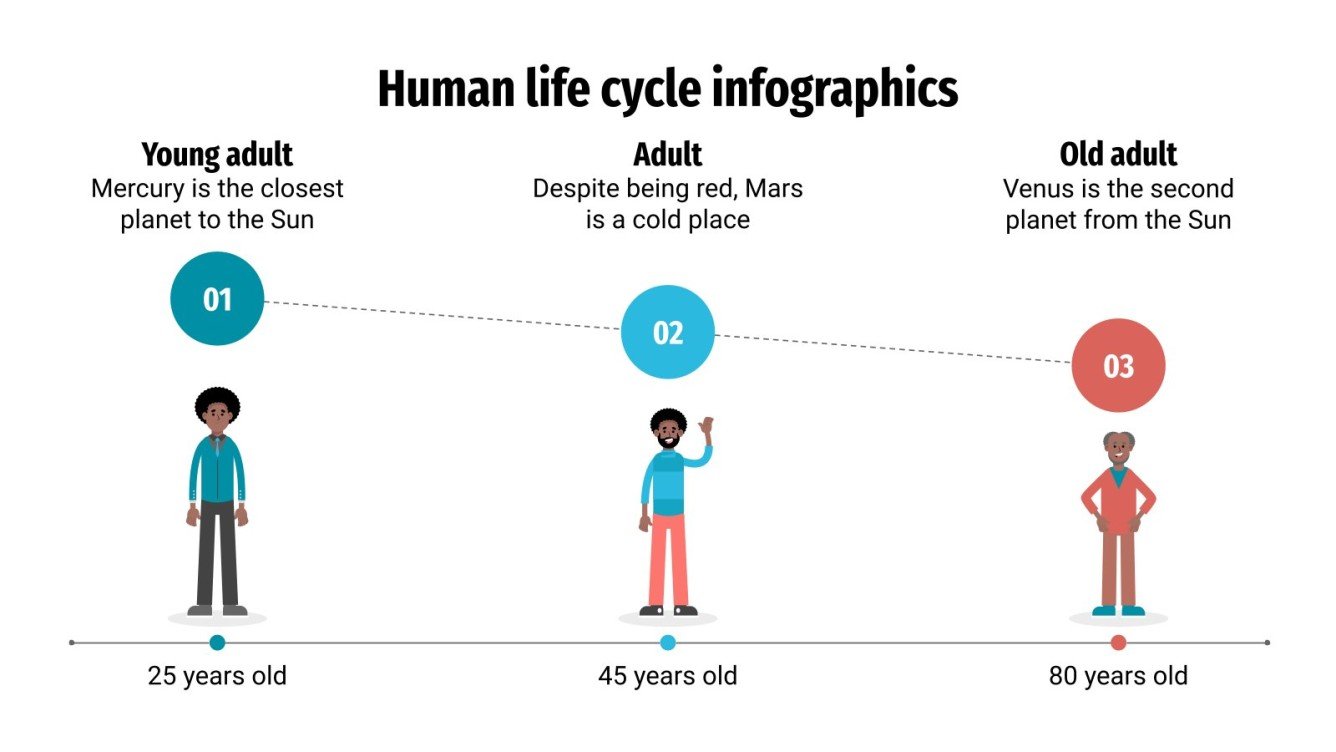 Human Life Cycle Infographics | Google Slides & PowerPoint