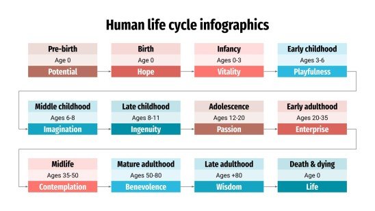 Human Life Cycle Infographics | Google Slides & PowerPoint