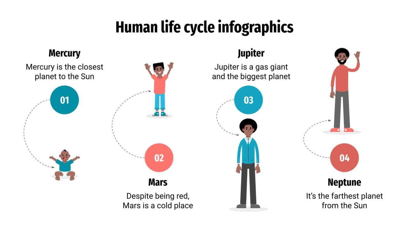 Human Life Cycle Infographics | Google Slides & PowerPoint