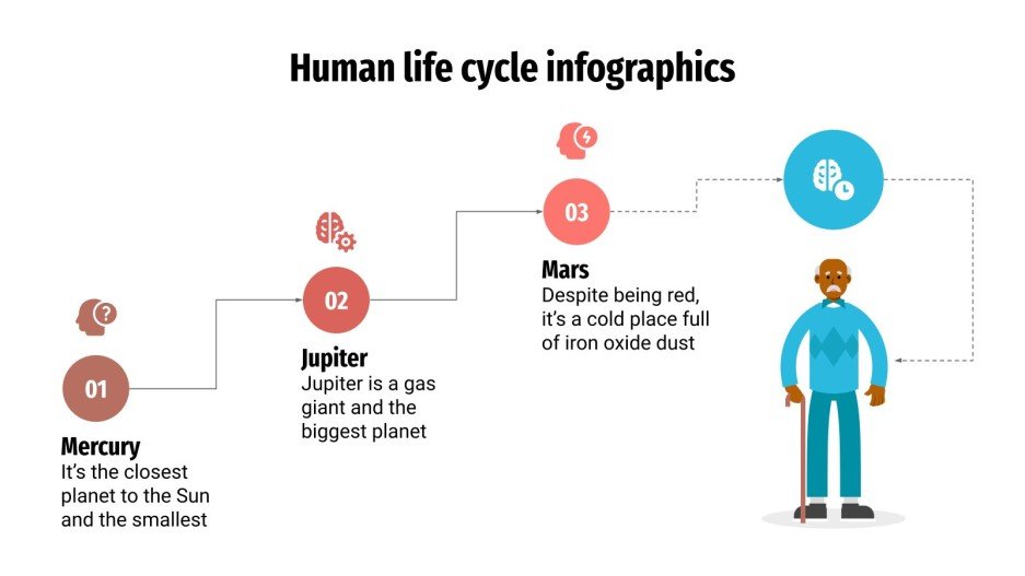 Human Life Cycle Infographics | Google Slides & PowerPoint