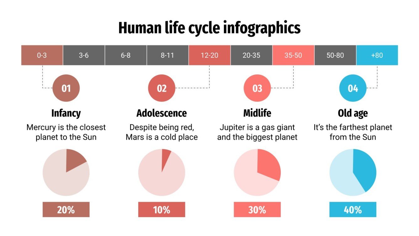 Human Life Cycle Infographics | Google Slides & PowerPoint