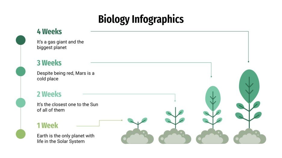 Biology Infographics | Google Slides & PowerPoint template