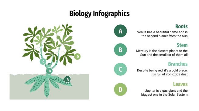Biology Infographics | Google Slides & PowerPoint template