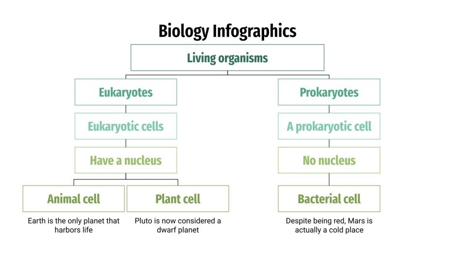 Biology Infographics | Google Slides & PowerPoint template