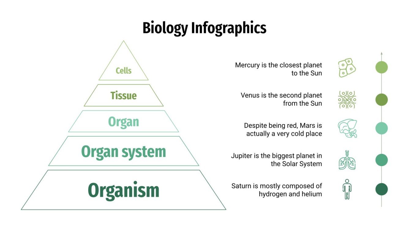 Biology Infographics | Google Slides & PowerPoint template