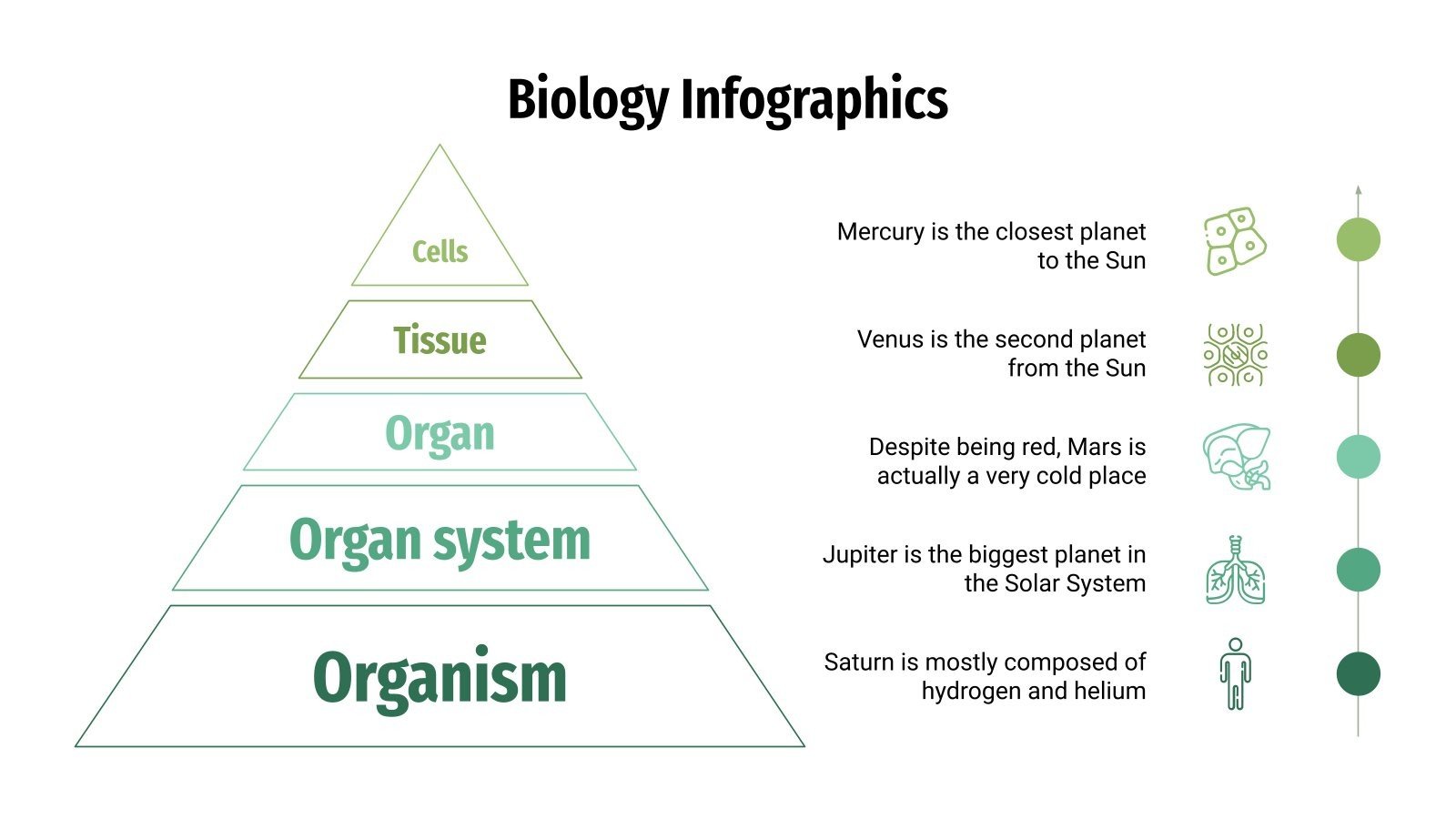 Biology Infographics | Google Slides & PowerPoint template