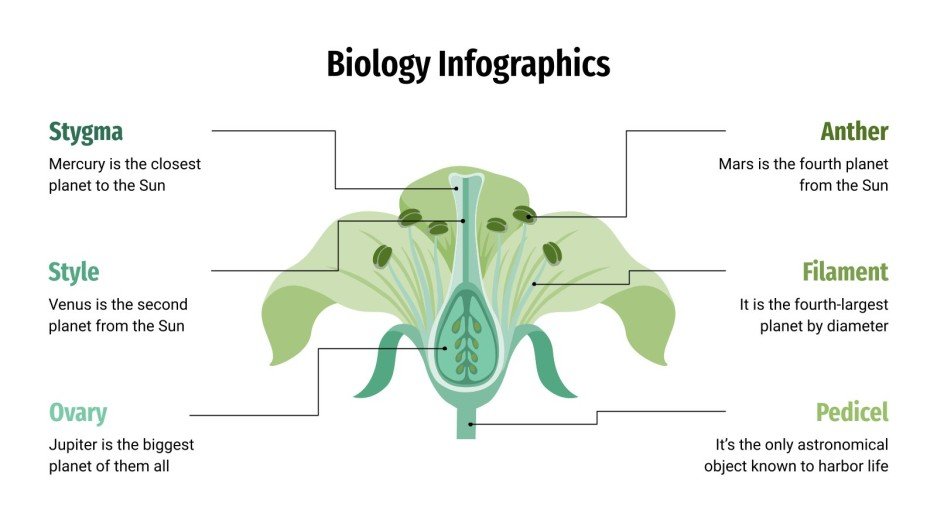 Biology Infographics | Google Slides & PowerPoint template