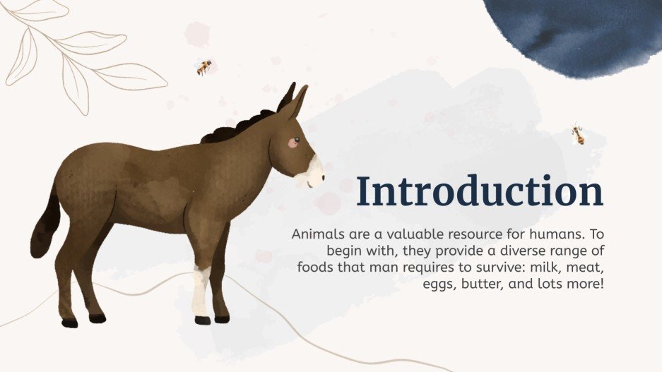 Natural Resources Conservation Major: Animal Science