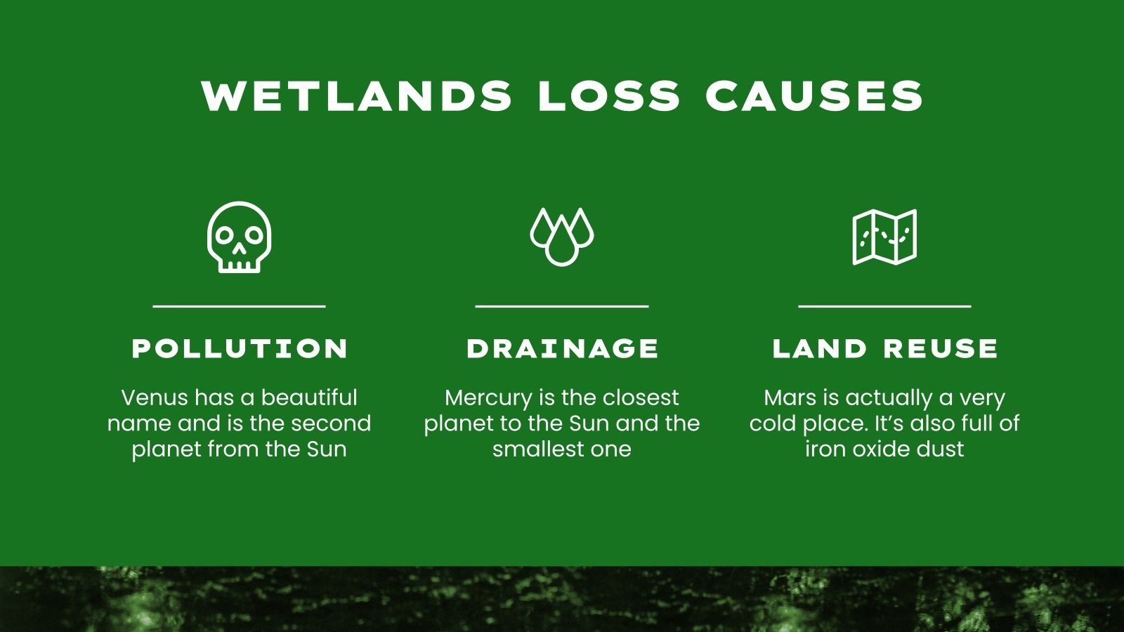 World Wetlands Day Minitheme | Google Slides & PowerPoint