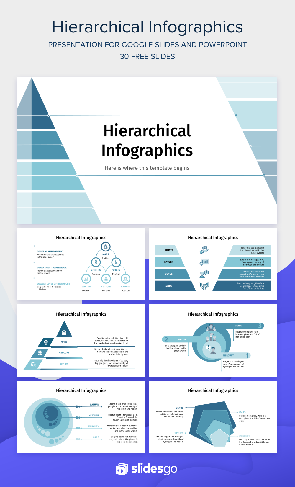 Hierarchical Infographics Google Slides and PowerPoint template