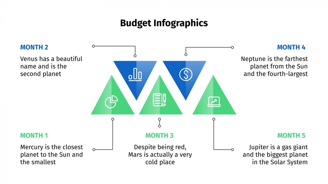 Budget Infographics Google Slides and PowerPoint template