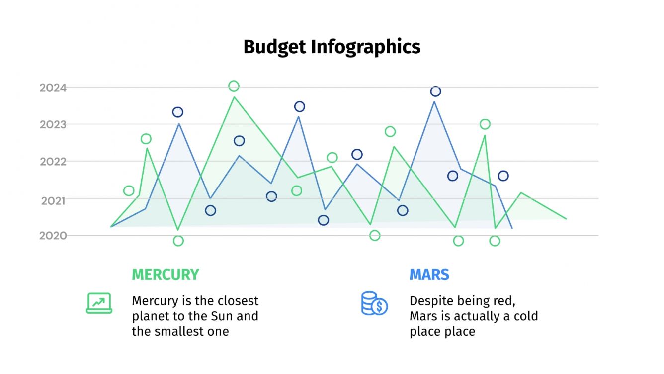 Budget Infographics Google Slides and PowerPoint template