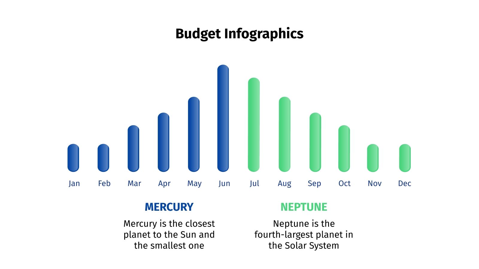 Budget Infographics Google Slides and PowerPoint template