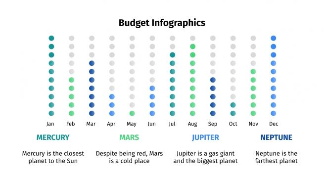 Budget Infographics Google Slides and PowerPoint template