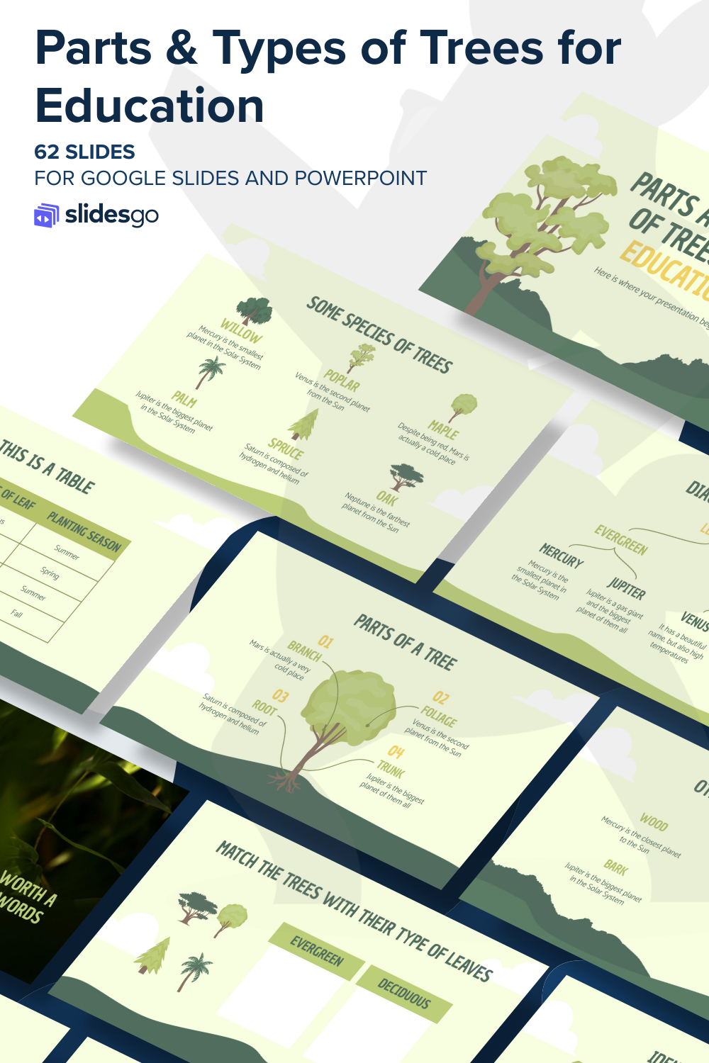 Parts & Types of Trees for Education | Google Slides & PPT