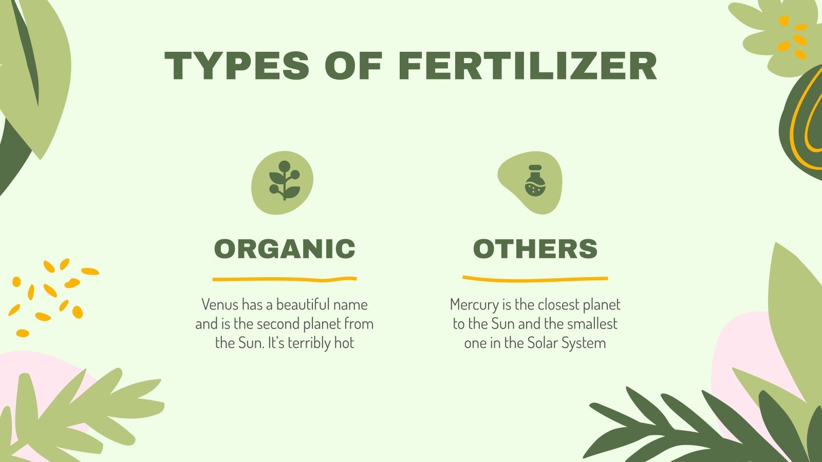 Fertilizer Training Workshop | Google Slides & PowerPoint