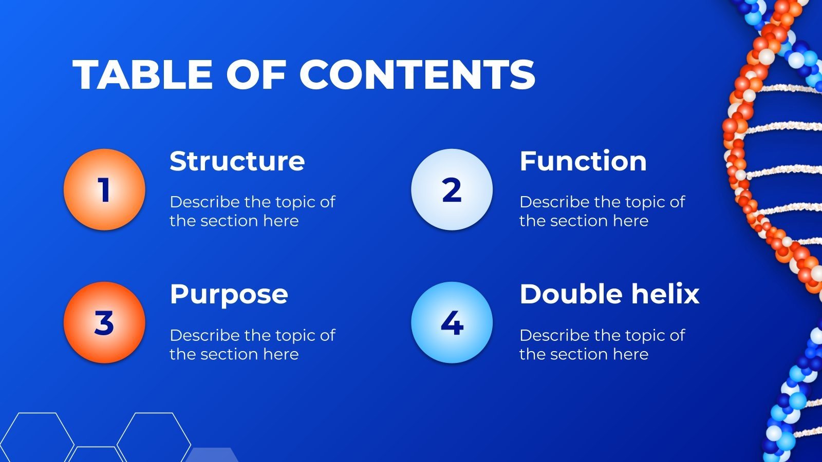 DNA Structure: Double Helix | Google Slides & PPT