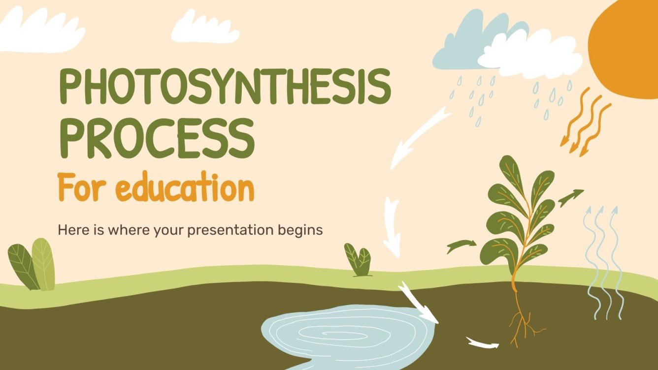Photosynthesis Process for Education | Google Slides & PPT