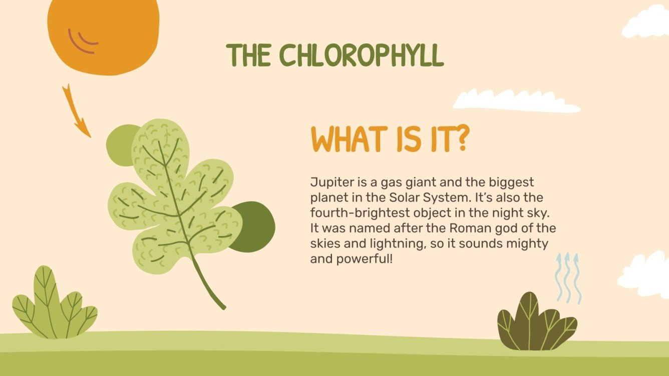 Photosynthesis Process for Education | Google Slides & PPT