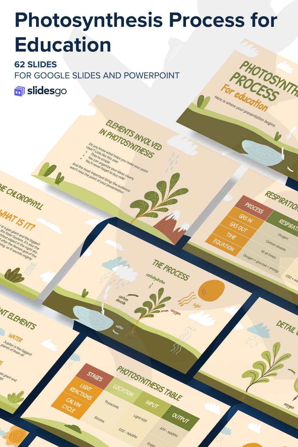 Photosynthesis Process for Education | Google Slides & PPT