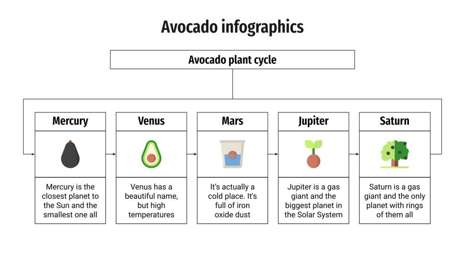 Avocado Infographics | Google Slides & PowerPoint