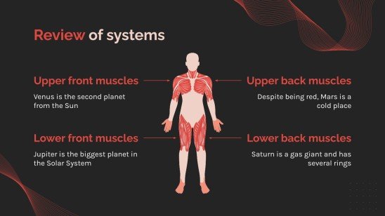 Muscular System Clinical Case | Google Slides & PowerPoint